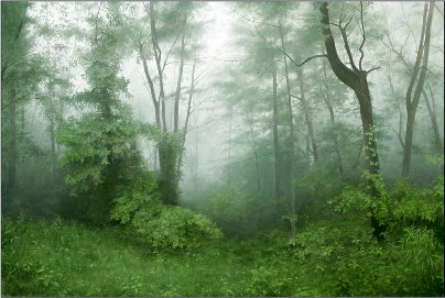 Alexander Volkov Artwork For Sale, Wanted