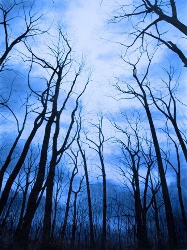 Alexander Volkov Artwork For Sale, Wanted