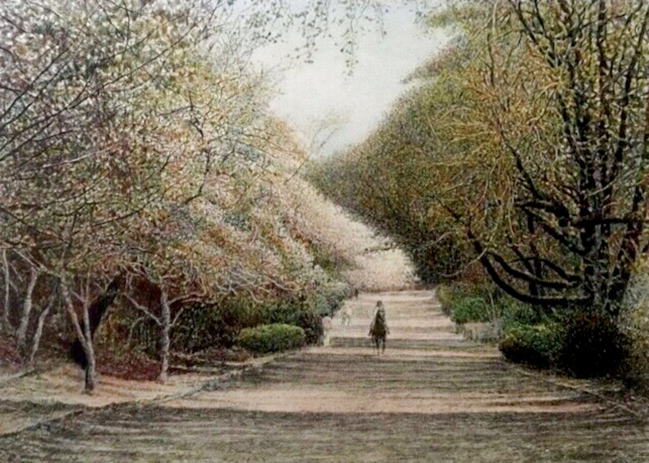 Central Park: April 1988 Limited Edition Serigraph by Harold Altman ...