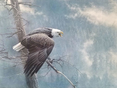 Robert Bateman Paintings For Sale, Wanted
