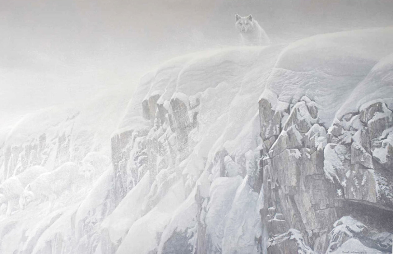 Robert Bateman, print, Artic Clif, White Wolves by Robert Bateman - For ...