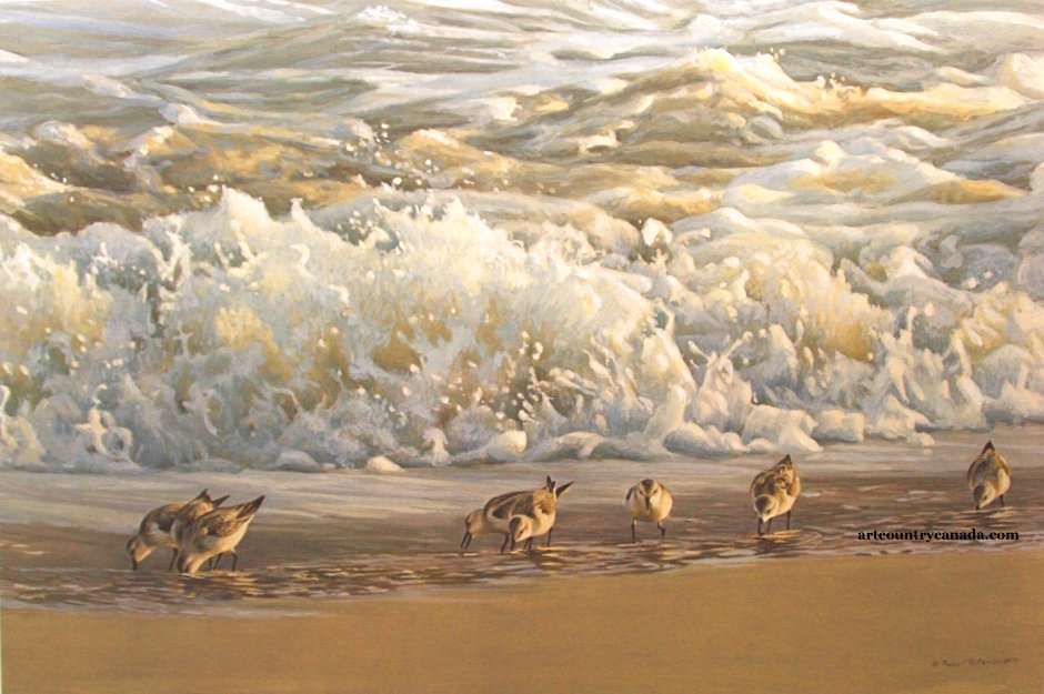 Park West:Robert Bateman, American Wildlife Artist Prints And Paintings ...