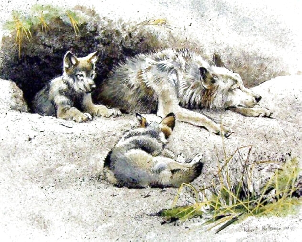 Wolf Predator Series: Wolf and Cubs 1993 Limited Edition Lithograph by ...