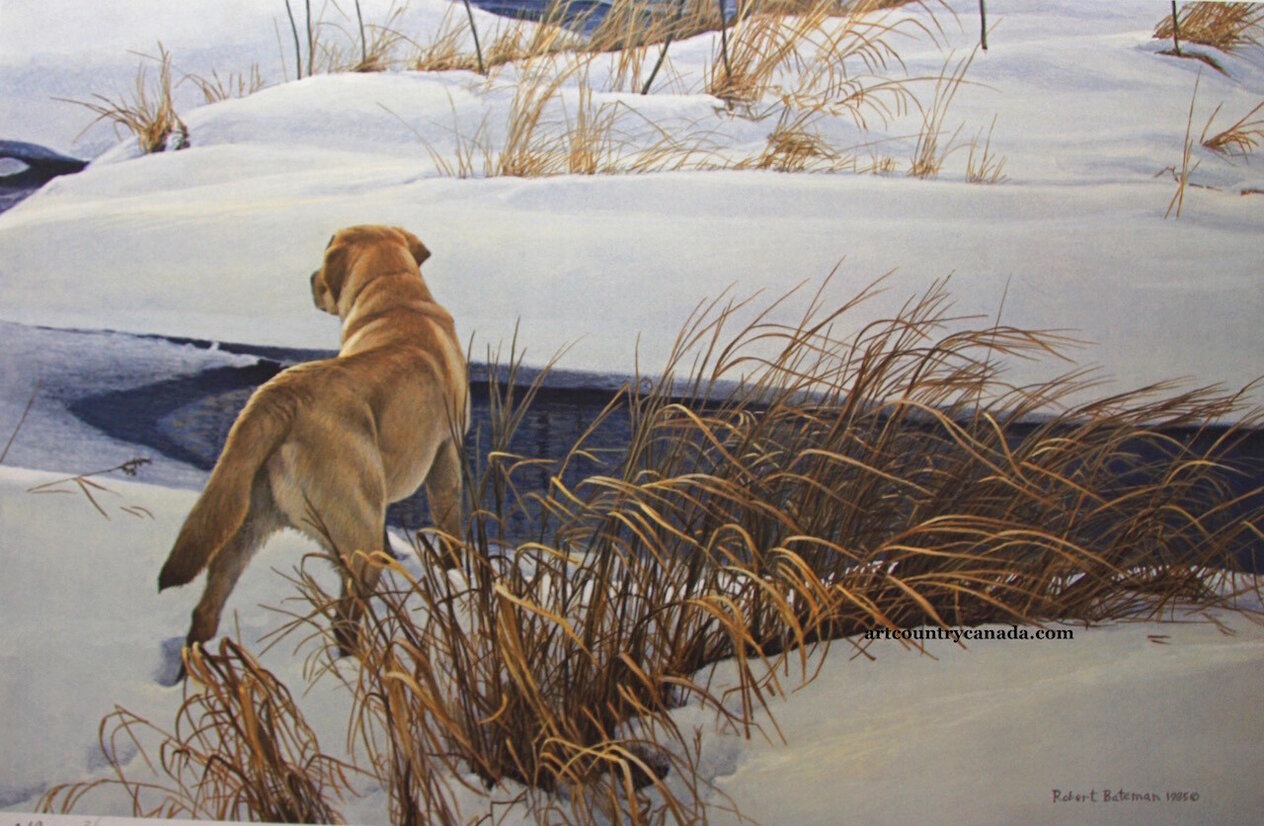 Winter Companion 1985 Framed Limited Edition Lithograph by Robert ...