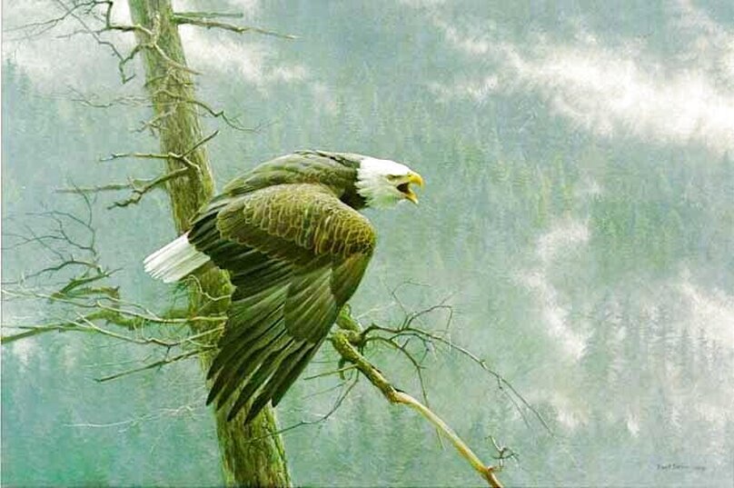 Robert Bateman Paintings For Sale, Wanted