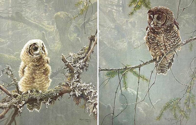 Robert Bateman Paintings For Sale, Wanted