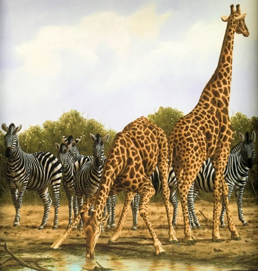 Park West: Andrew Bone African Contemporary Artist - 34 Listings