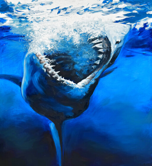 Shark 2011 Oil on Canvas by Tom Booth - For Sale on Art Brokerage