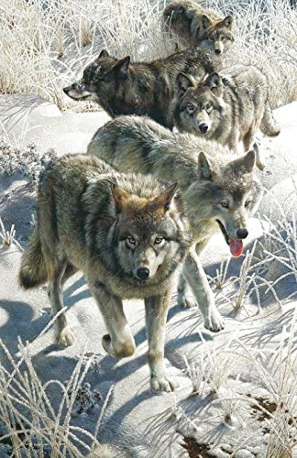 Carl Brenders Belgian Naturalist, Wildlife Artist, Artwork For Sale ...