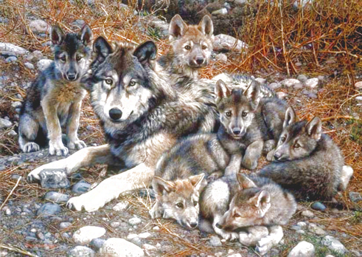 Den Mother - Wolf Family 1992 Lithograph 31x39 by Carl Brenders