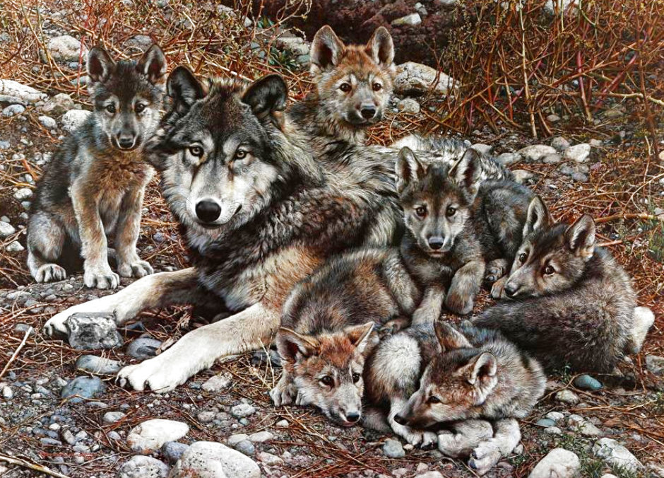Carl Brenders Belgian Contemporary Naturalist - Wildlife Artist ...