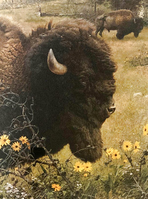 Carl Brenders Belgian Naturalist, Wildlife Artist, Artwork For Sale ...