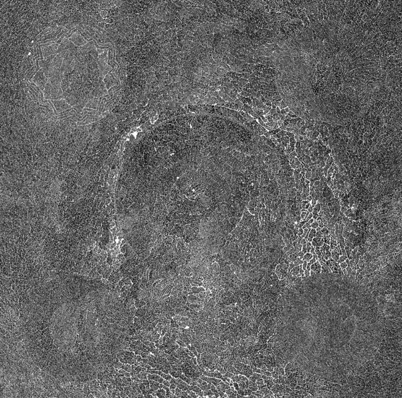 Bruce Conner Artwork For Sale - 3 Listings