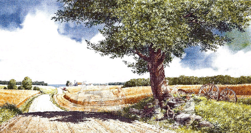 Charles Peterson Art For Sale, Wanted