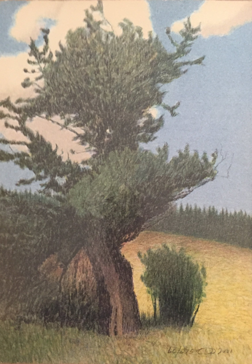 Untitled (Landscape) 2001 by Russell Chatham - For Sale on Art Brokerage