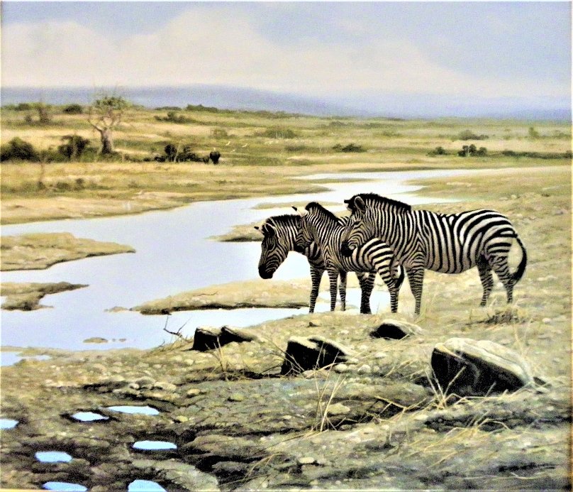 Craig Bone South African Wildlife Artist Art For Sale/wanted