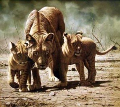 Craig Bone South African Wildlife Artist Art For Sale/wanted