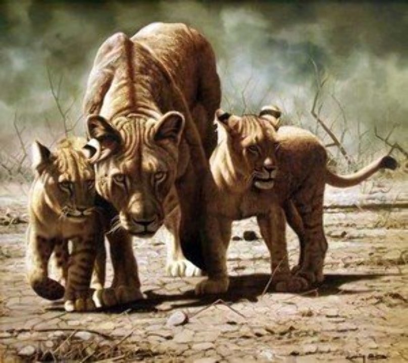 Craig Bone South African Wildlife Artist Art For Sale/wanted