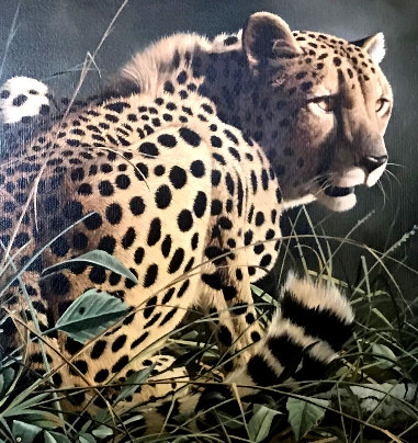 Craig Bone South African Wildlife Artist Art For Sale/wanted