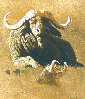 Craig Bone South African Wildlife Artist Art For Sale/wanted