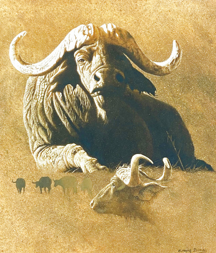 Craig Bone South African Wildlife Artist Art For Sale/wanted