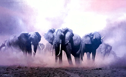 Craig Bone South African Wildlife Artist Art For Sale/wanted