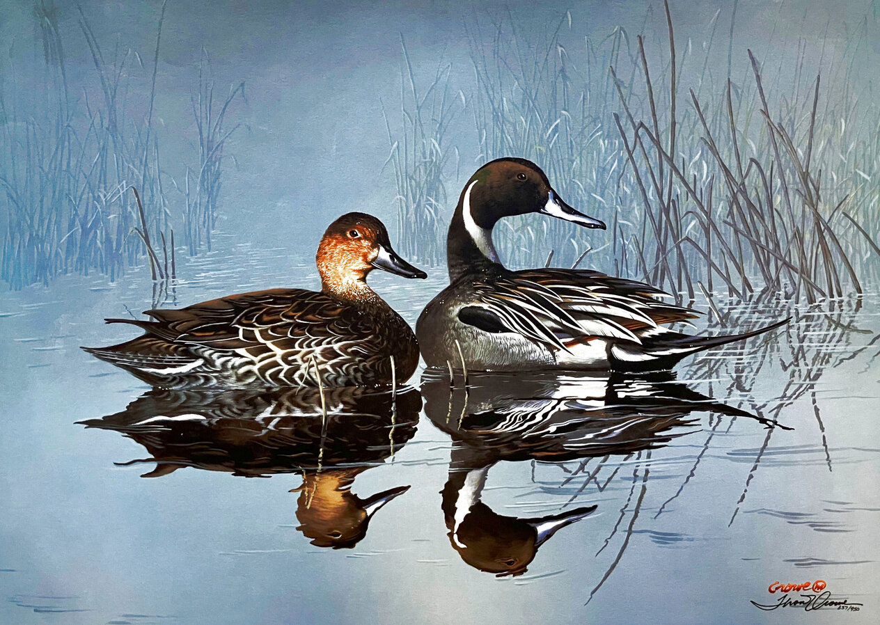 Spring Reflections Limited Edition Lithograph by Phillip Crowe - For ...