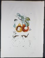 Flordali / Les Fruits Fruit With Holes 1969 Etching 30x22 by Salvador ...