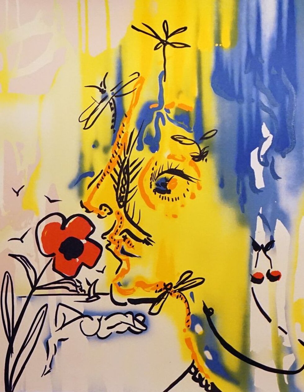 Fleurs Surrealistes of Gala And the Vanishing Face - Framed Suite of 2 ...