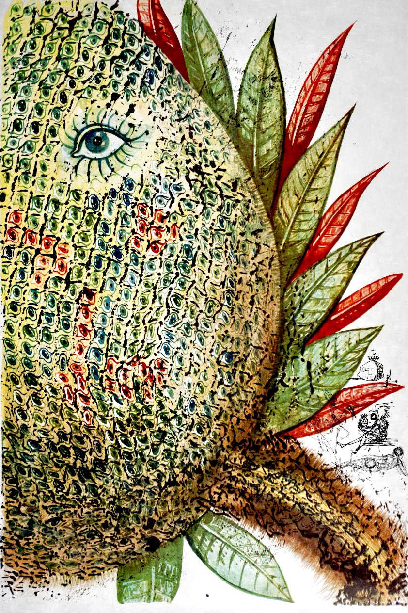 Vegetation Inedt EA 1967 Etching 30x22 by Salvador Dali - For Sale on ...