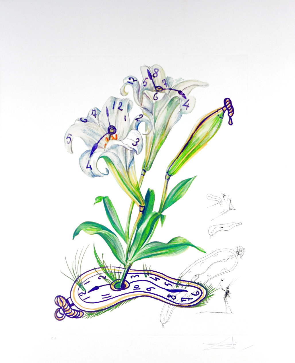 Florals Lilies Montre Molle EA 1972 Limited Edition Etching by Salvador ...