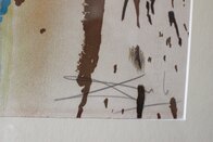 From the Four Seasons: Spring EA Limited Edition Lithograph by Salvador ...