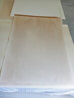 From the Four Seasons: Spring EA Limited Edition Lithograph by Salvador ...