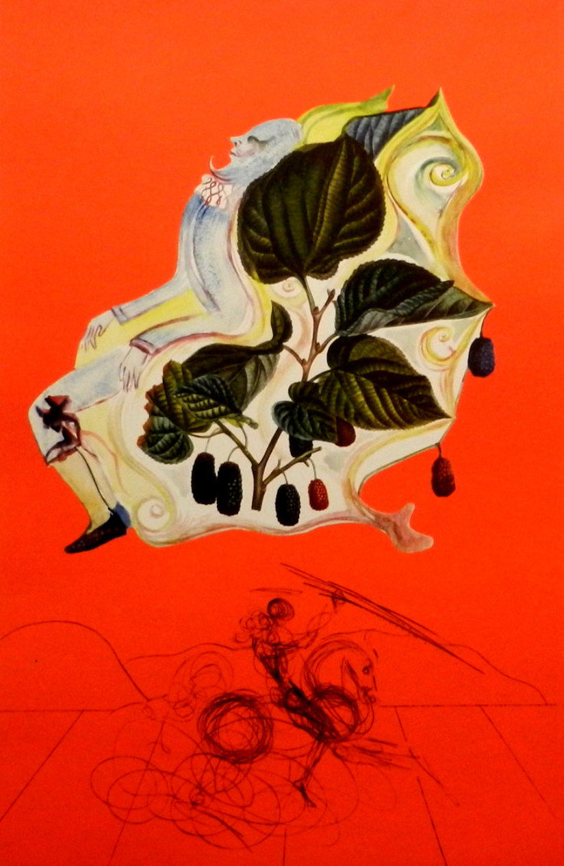 Fruits Blackberries 1970 Etching 22x15 by Salvador Dali - For Sale on ...