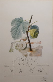 Salvador Dali Spanish Contemporary Surrealist Artist - 818 Listings