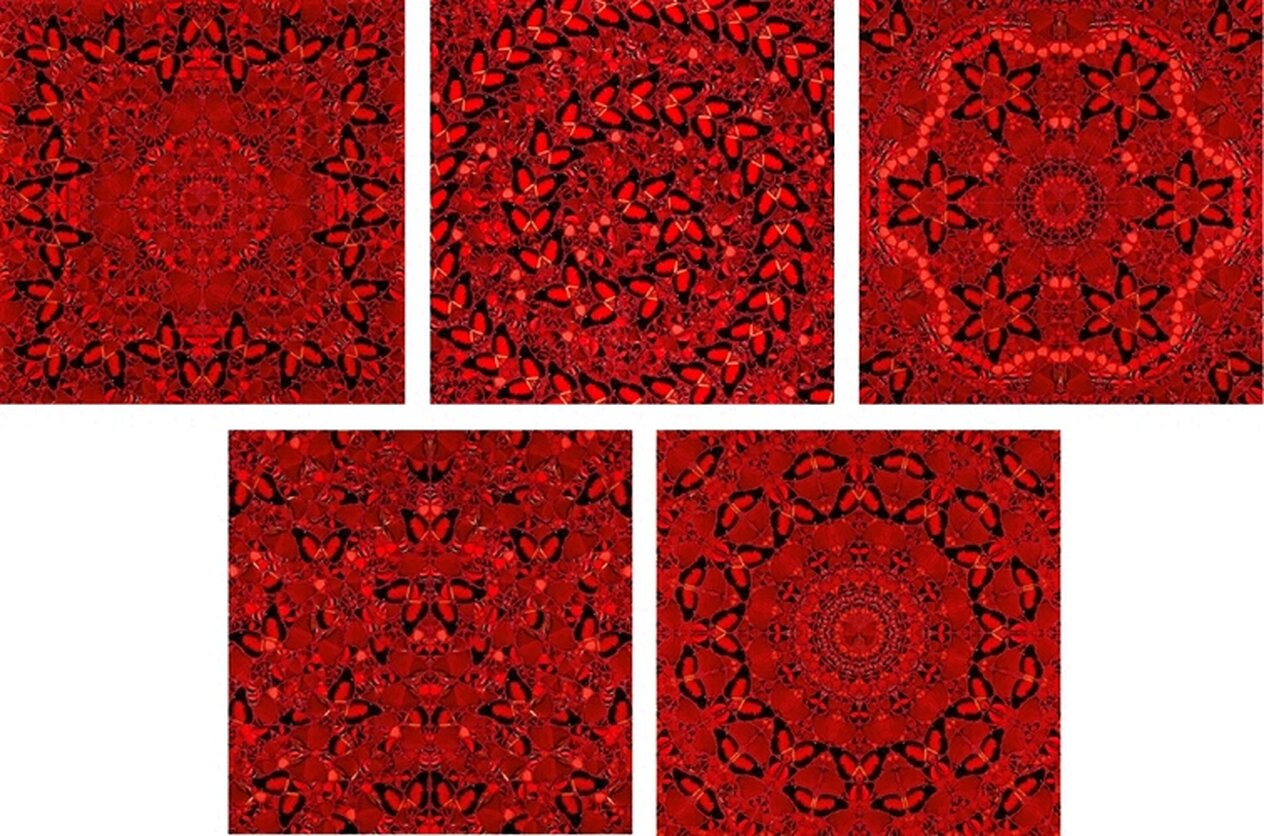 Empresses Set of 5 2022 Limited Edition Giclees on Aluminum by Damien ...