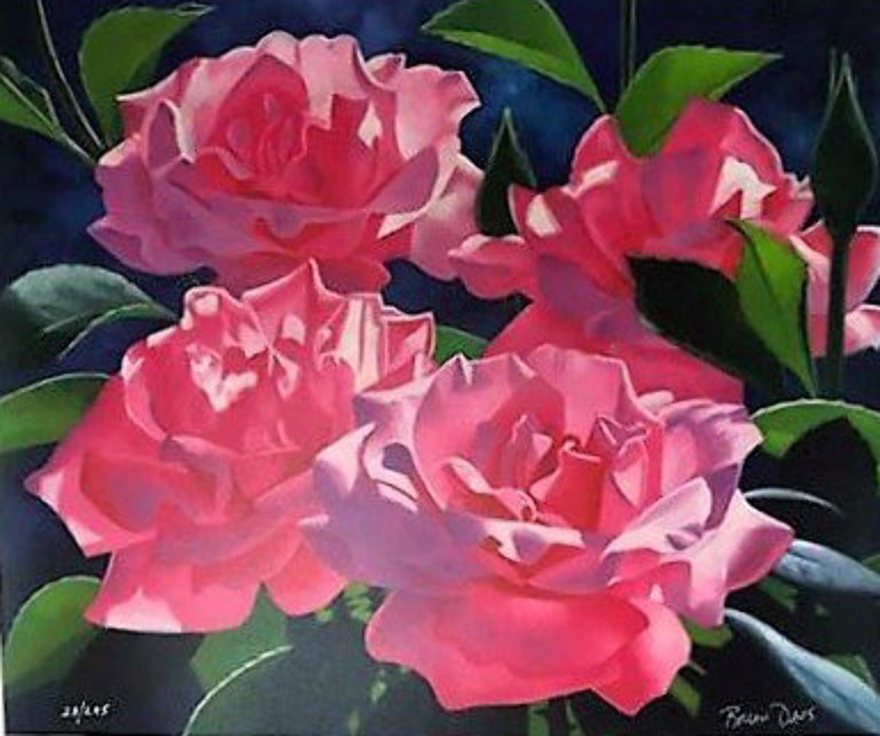 Pink Roses 1996 by Brian Davis - For Sale on Art Brokerage