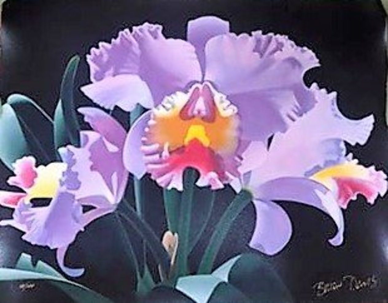 Violet Cattleya 2000 by Brian Davis - For Sale on Art Brokerage