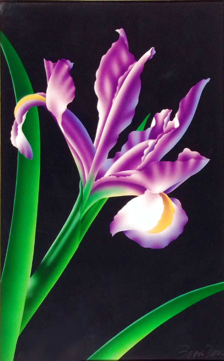 Iris V 1980 Limited Edition Lithograph by Brian Davis - For Sale on Art Brokerage