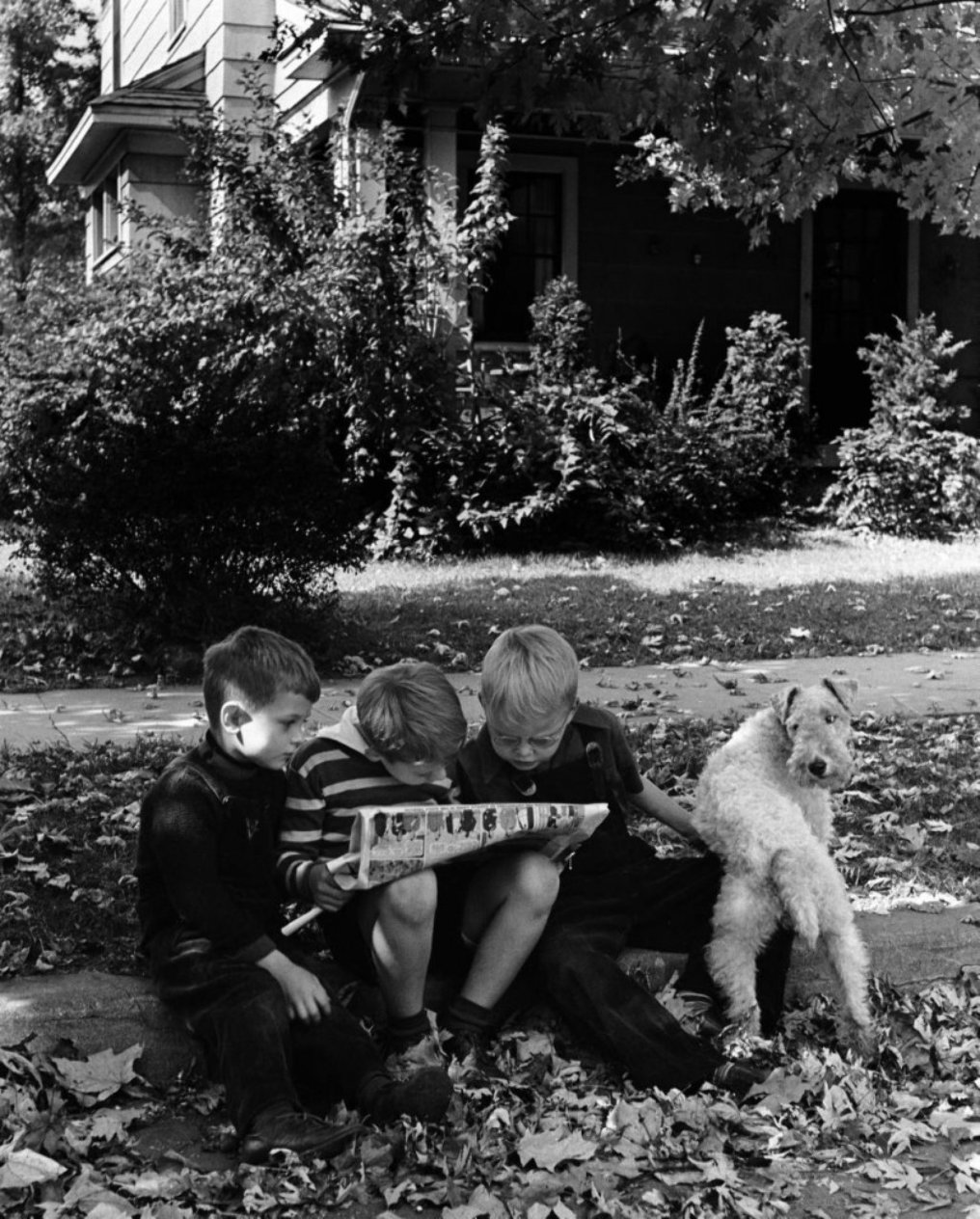 An American Block 1989 by Alfred Eisenstaedt - For Sale on Art Brokerage
