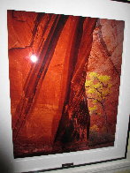 Canyon Voices 1998 40x34 cibachrome photographic print of the Grand ...