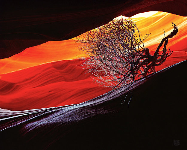 Earth Spirit Rising 2002 by Michael Fatali