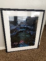 Michael Fatali, Shadow Gardens, photograph print by Michael Fatali ...
