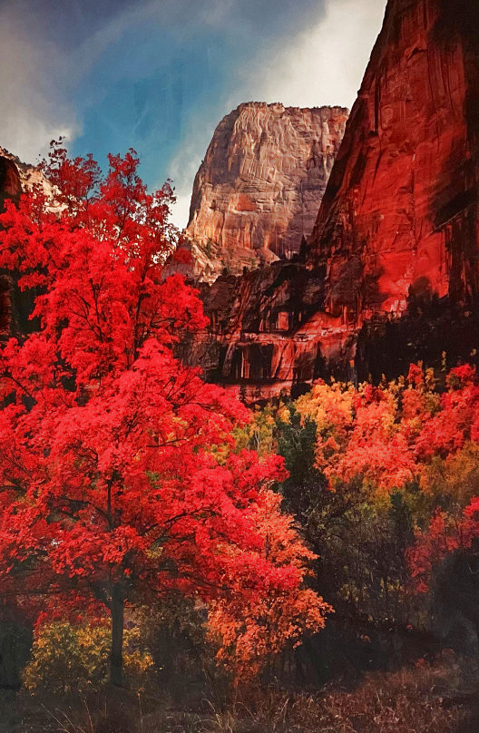 Michael Fatali Artwork For Sale, Wanted