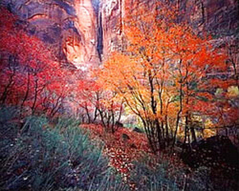 Michael Fatali Artwork For Sale, Wanted