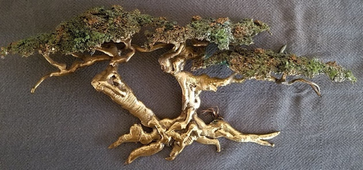 Small Cypress Wall Sculpture Tree 1991 13 in by Danny Garcia - For Sale ...
