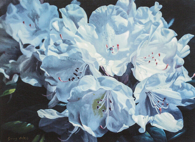 Orchid Rhapsody 1995 Limited Edition Lithograph by Michael Gerry - For ...