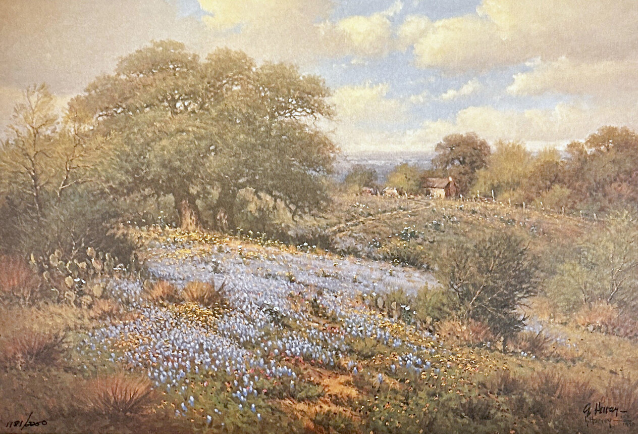 Spring View 1979 Limited Edition Lithograph 22x27 by G. Harvey - For ...