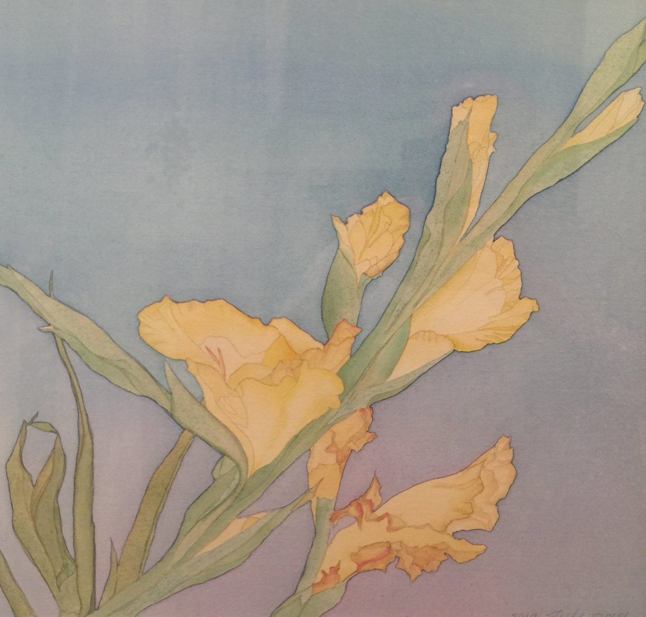Watercolor, Flowers, Gladiolus, Carson Gladson by Carson Gladson - For ...