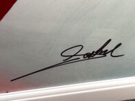 Lady Liberty 2017 Limited Edition Dye Sublimation on Aluminum by Alfred ...